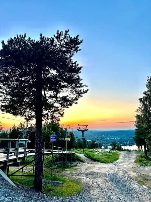 Rovaniemi: Full-Day Tour to Lapland's Best Attractions - What Makes This Tour Stand Out?