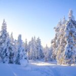 Rovaniemi: Guided Wilderness Snowmobile Ride - Why You Might Love This Tour