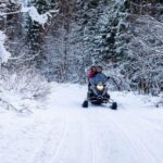 Rovaniemi: Guided Wilderness Snowmobile Safari & Barbeque - The Snowmobile Experience: Authentic Wilderness Riding