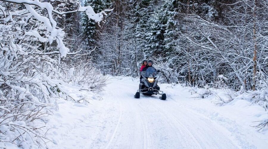 Rovaniemi: Guided Wilderness Snowmobile Safari & Barbeque - The Snowmobile Experience: Authentic Wilderness Riding