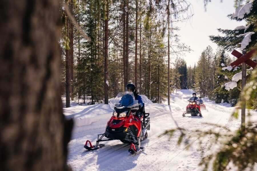 Rovaniemi: Half-Day Snowmobile Tour - Who Will Love This Tour?