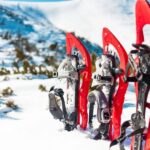 Rovaniemi: Hiking and Snowshoeing Adventure in Lapland - The Scenic Journey and Natural Highlights