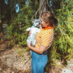 Rovaniemi: Husky Farm Visit - The Value of the Experience