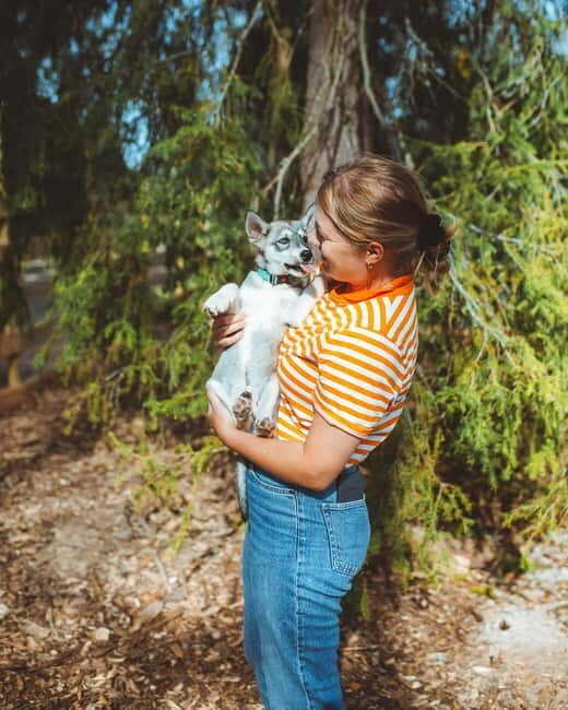 Rovaniemi: Husky Farm Visit - The Value of the Experience