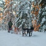 Rovaniemi Husky Safari & Campfire BBQ  610 km SelfDrive - The Itinerary and Experience