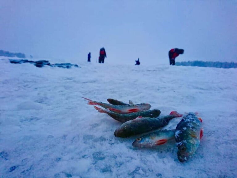 Rovaniemi: Ice Fishing by Snowmobile - Authenticity and Atmosphere
