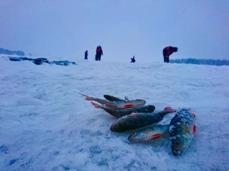 Rovaniemi: Ice Fishing by Snowmobile - Authenticity and Atmosphere