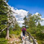 Rovaniemi: Korouoma Canyon Hike and Barbecue Experience - Expert Guides and Authentic Insights