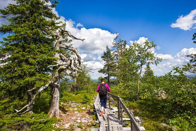 Rovaniemi: Korouoma Canyon Hike and Barbecue Experience - Expert Guides and Authentic Insights