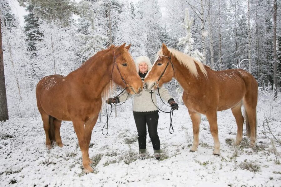 Rovaniemi: Late Night Ride with Finnhorses - An In-Depth Look at the Late Night Ride with Finnhorses