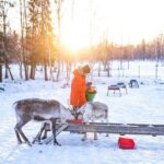 Rovaniemi: Local Reindeer Farm Visit with Sleigh Ride - An Authentic Encounter with Reindeer and Lapland Culture