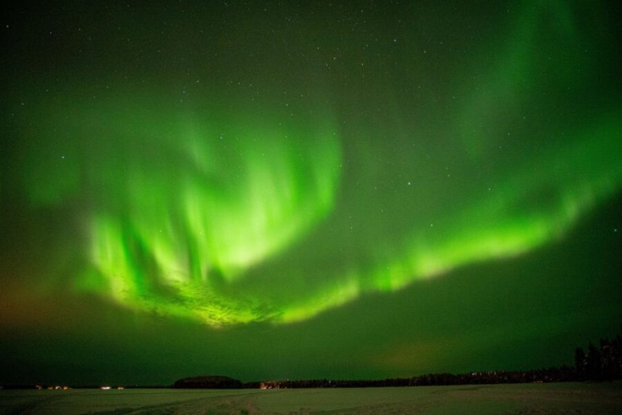 Rovaniemi: Night Sky lappish Barbecue - Authentic Reviews and Insights