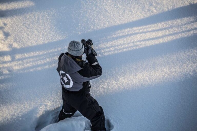 Rovaniemi: Nordic Forest Wilderness Adventure - Exploring the Rovaniemi Nordic Forest Wilderness Adventure in Detail