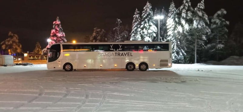 Rovaniemi: Northern Lights Bus Tour with Hot Drinks & Snacks - Who is This Tour Best For?