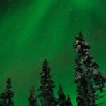 Rovaniemi: Northern Lights Tour - Comfort and Practical Aspects