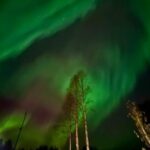 Rovaniemi: Northern Lights Tour with BBQ - The Limitations and How to Prepare