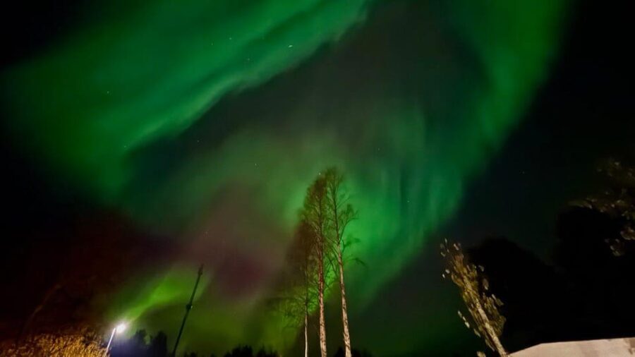 Rovaniemi: Northern Lights Tour with BBQ - The Limitations and How to Prepare