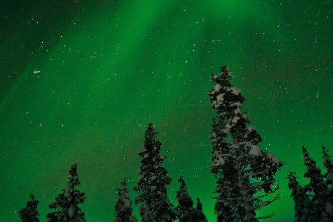 Rovaniemi: Northern Lights Tour - Comfort and Practical Aspects