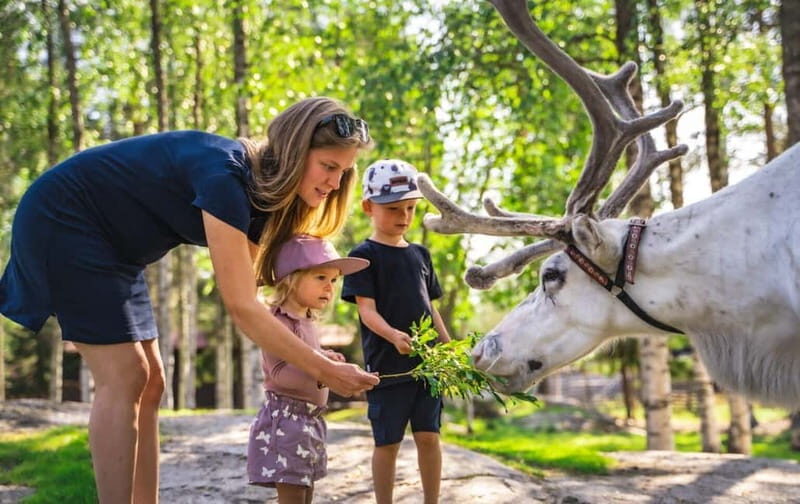Rovaniemi: Reindeer Farm Visit at Autumn - Exploring the Reindeer Farm Experience
