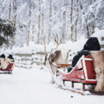 Rovaniemi: Reindeer, Huskies & Santa Claus Village - Who Will Love This Tour?