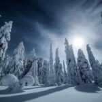 Rovaniemi: Reindeer Safari and Northern Lights Tour - What’s Included & What’s Not