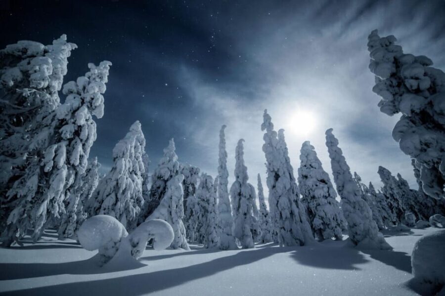 Rovaniemi: Reindeer Safari and Northern Lights Tour - What’s Included & What’s Not