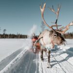 Rovaniemi: Reindeer Sleigh Ride with Hot Drink and Cookies - The Reviews and What They Tell Us