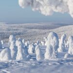 Rovaniemi: Riisitunturi Full-Day Wilderness Adventure & BBQ - The Experience: A Day in the Arctic Wilderness