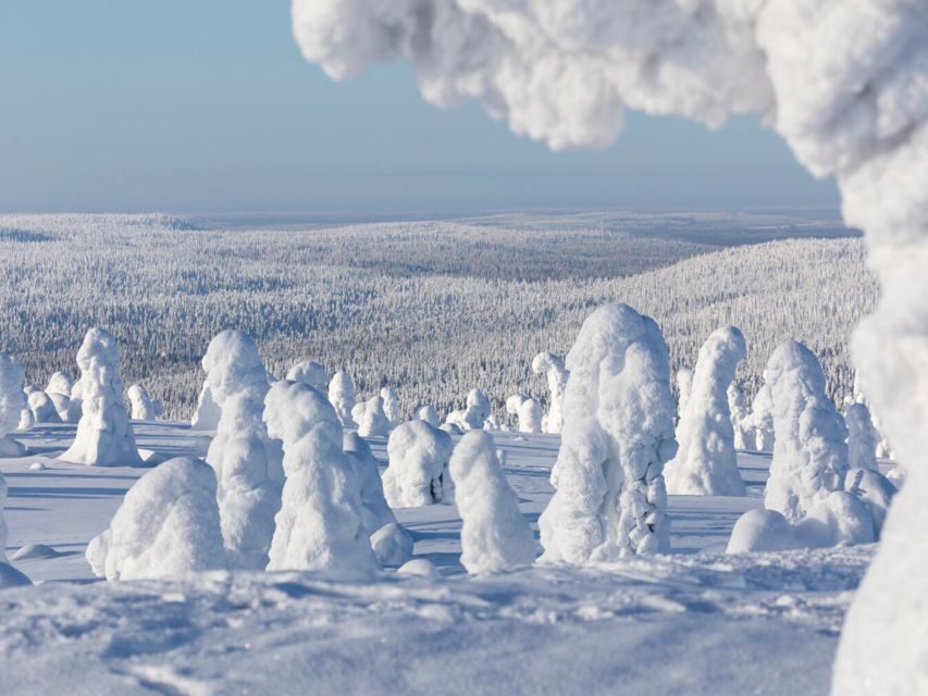 Rovaniemi: Riisitunturi Full-Day Wilderness Adventure & BBQ - The Experience: A Day in the Arctic Wilderness