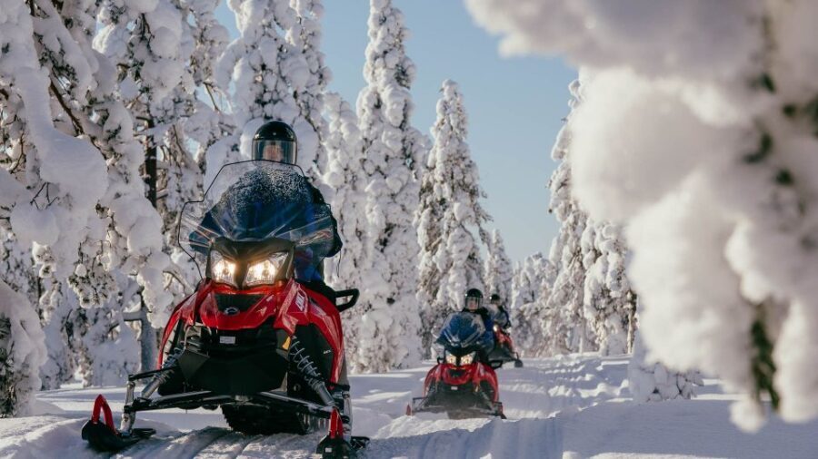 Rovaniemi: Snowmobile Adventure Tour for Adults Only - Key Points
