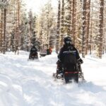 Rovaniemi: Snowmobile Safari into the Arctic Circle Forest - Potential Drawbacks or Considerations