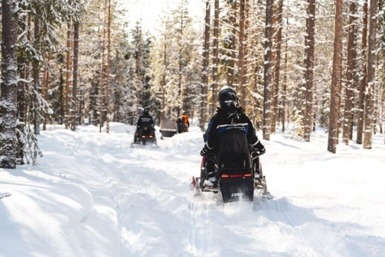 Rovaniemi: Snowmobile Safari into the Arctic Circle Forest - Potential Drawbacks or Considerations