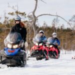Rovaniemi: Snowmobile Safari into the Wilderness - The Ride: Details and Expectations