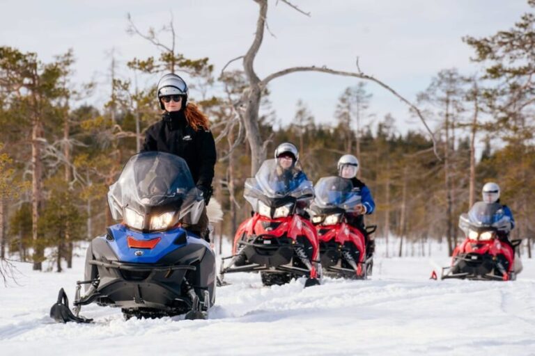 Rovaniemi: Snowmobile Safari into the Wilderness - The Ride: Details and Expectations
