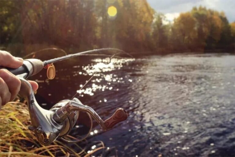 Rovaniemi: Summer Fishing Tour in Arctic Nature & BBQ - The Value of the Experience
