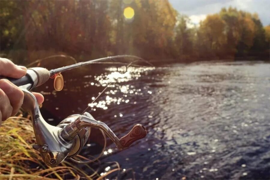 Rovaniemi: Summer Fishing Tour in Arctic Nature & BBQ - The Value of the Experience