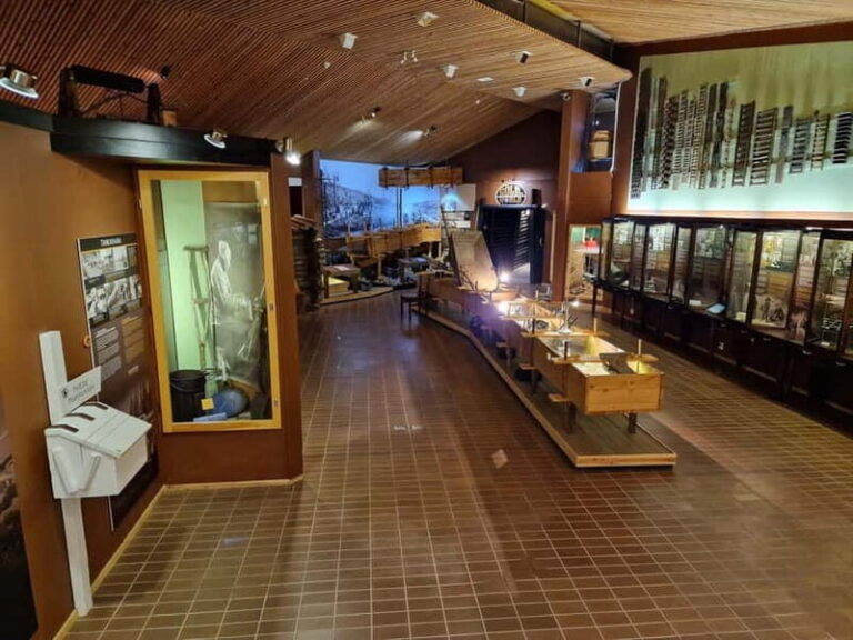 Rovaniemi to Tankavaara Gold Village & Gold Panning - An In-Depth Look at the Rovaniemi to Tankavaara Gold Village & Gold Panning Tour