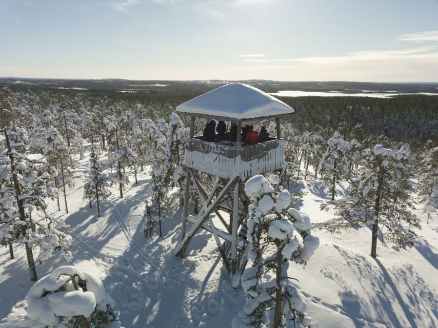 Rovaniemi: Wilderness Tour - Learning Fire-Making: Practical Skills for Wild Adventures