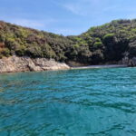 Rovinj Islands: 3-Hour Tour with Swimming and Snorkeling - The Detailed Itinerary: What to Expect