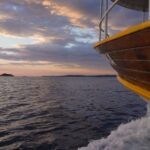 Rovinj: Sunset Boat Trip with Dolphin Watching - The Value of the Experience