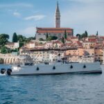 Rovinj: Sunset & dolphin group tours with Catamaran - Who Would Love This Tour?