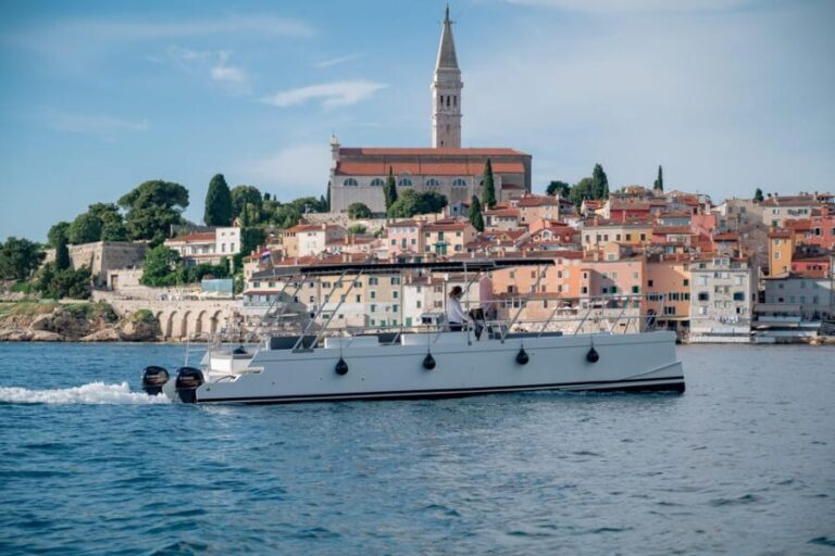 Rovinj: Sunset & dolphin group tours with Catamaran - Who Would Love This Tour?