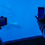 Royal Delfin - 2Hour Sustainable Dolphin & Whale Watching Mini Cruise - The Experience on Board