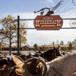 Ruby's Horseback Adventures Utah 1.5 Hour Ride - Who Will Benefit Most?