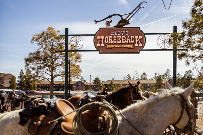 Ruby's Horseback Adventures Utah 1.5 Hour Ride - Who Will Benefit Most?