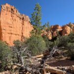 Ruby's Horseback Adventures Utah Half Day Ride - In-Depth Breakdown of the Tour