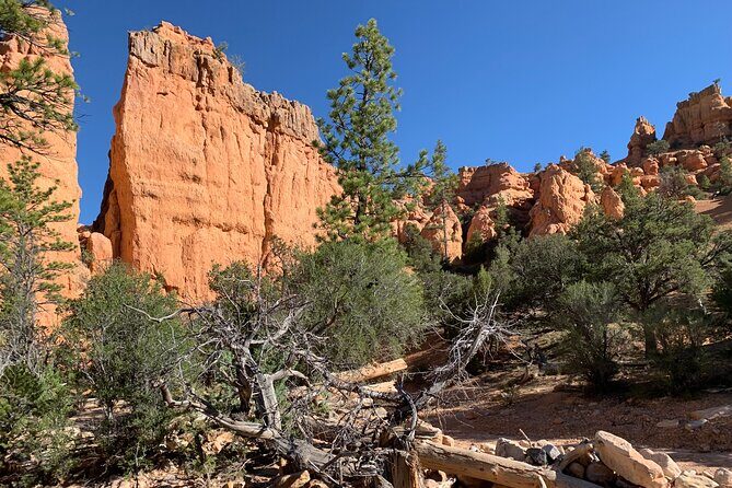 Ruby's Horseback Adventures Utah Half Day Ride - In-Depth Breakdown of the Tour