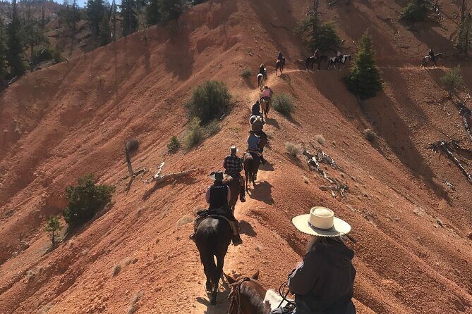 Ruby's Horseback Adventures Utah Thunder Mt. 4 Hour Ride - The Value of the Experience