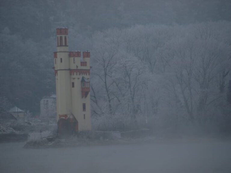 Rüdesheim am Rhein: Christmas Boat Cruise on the Rhine - Assessing the Value and Practicalities