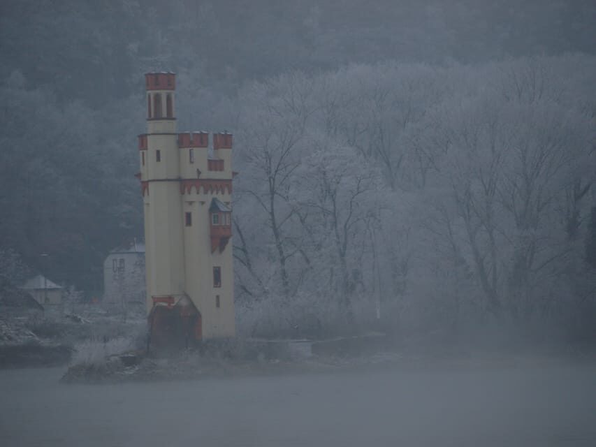 Rüdesheim am Rhein: Christmas Boat Cruise on the Rhine - Assessing the Value and Practicalities